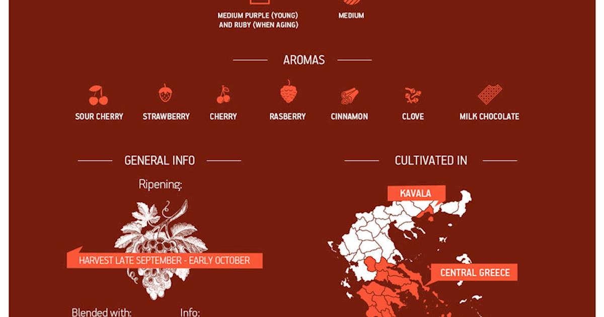 Everything you need to know about Agiorgitiko in 5'! - Botilia.gr Blog