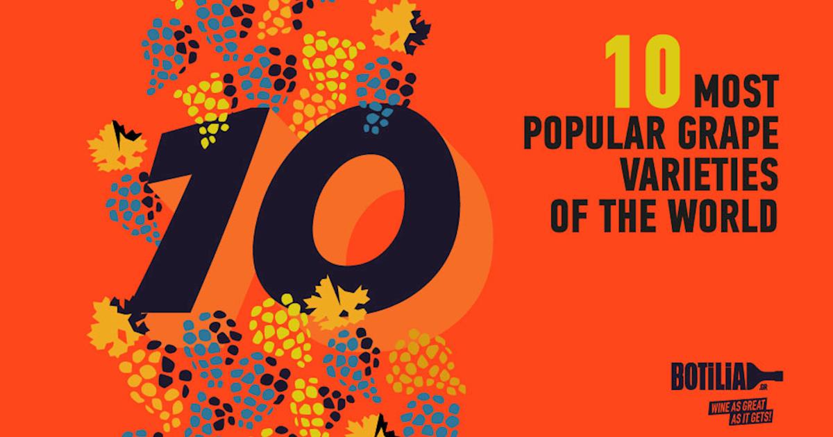 The 10 most popular grape varieties of the world - Botilia.gr Blog